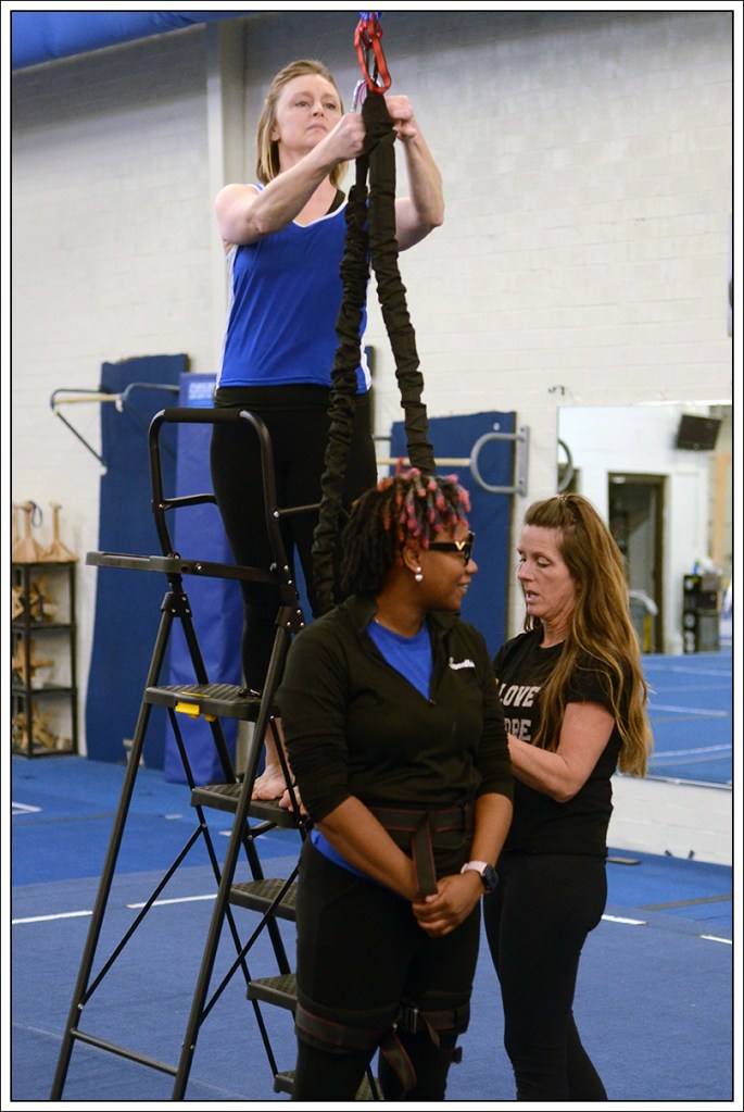 About Fly Factor – Fly Factor, LLC